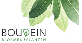 Boudein Guy uit Beveren heeft de mooiste seizoenbloemen en planten.