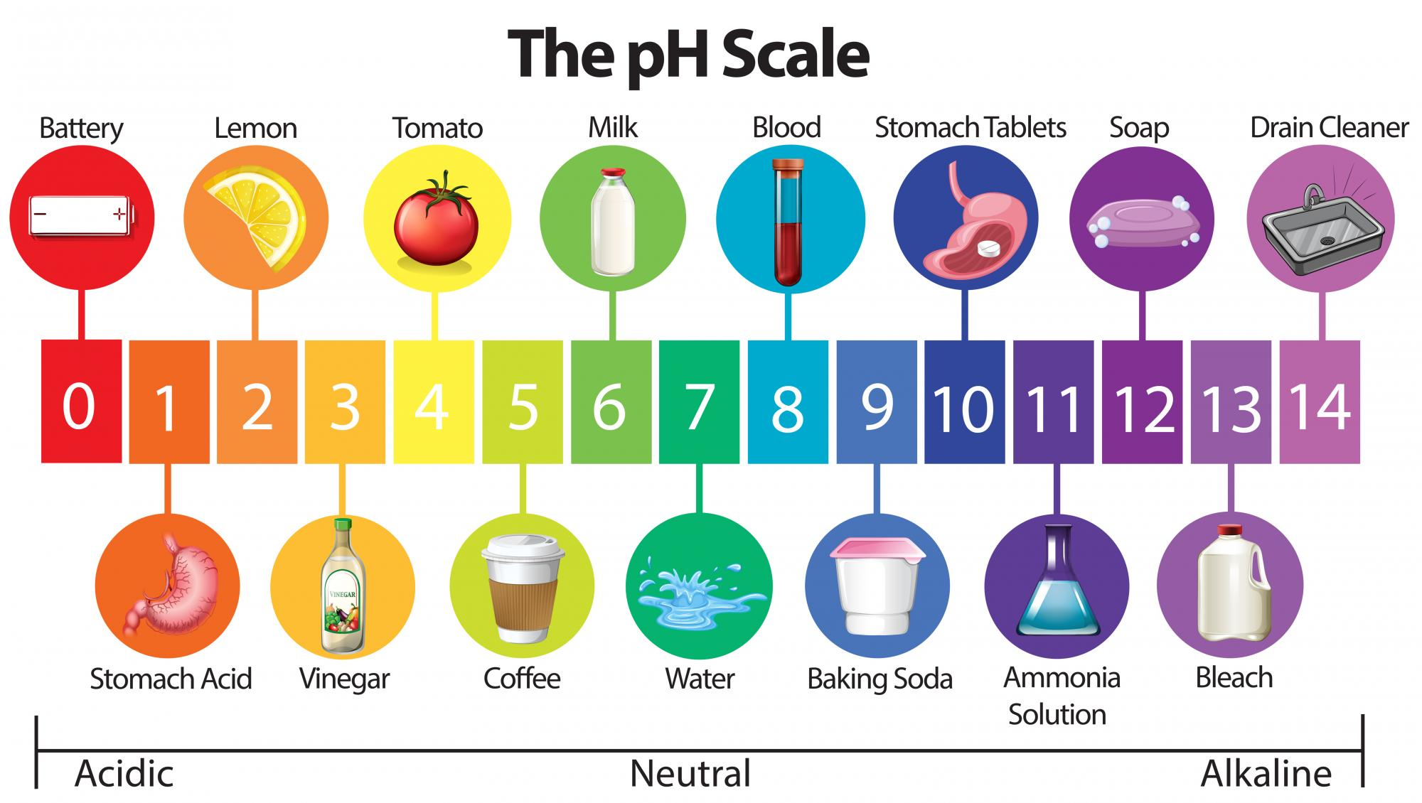 The Importance of pH-Balanced Shampoos for Healthy Hair: Expert Tips ...