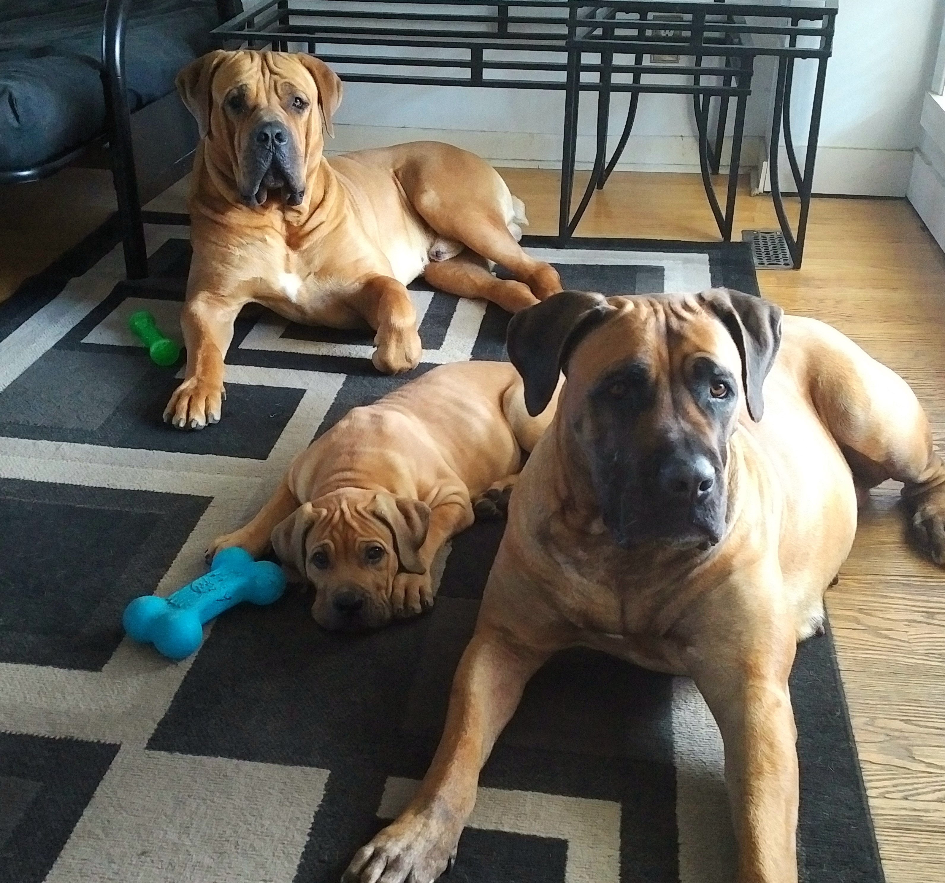 gallery | zuri-new-site-2014