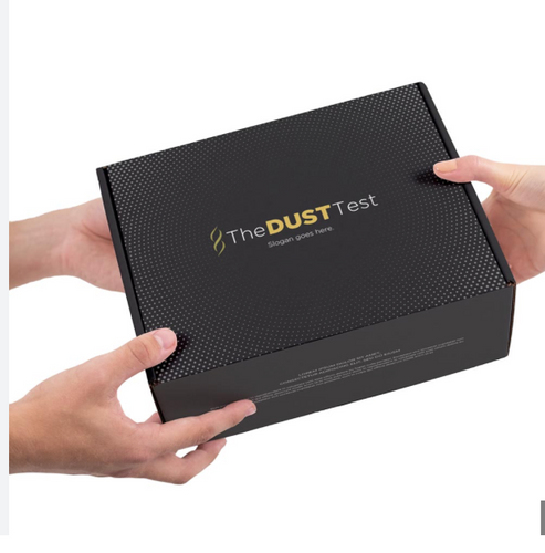 The DUST Test | Chelsea Azarcon