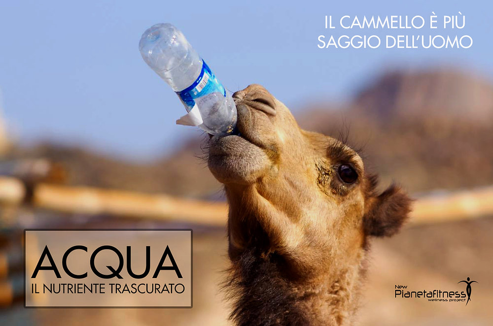 Litro D acqua Quanto Pesa Price Online Micoope gt Litro D acqua Quanto Pesa Price Online Micoope gt