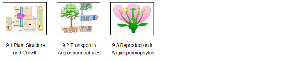9.1 Plant Science | ib-biology
