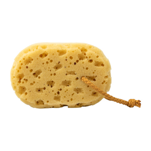 katelle Natural Sponge | blueoco