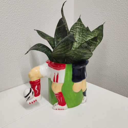 Football Planter with Bedroom Plant | www.farmstudio.co.in