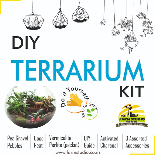 Terrarium Starter Kit - DIY | www.farmstudio.co.in