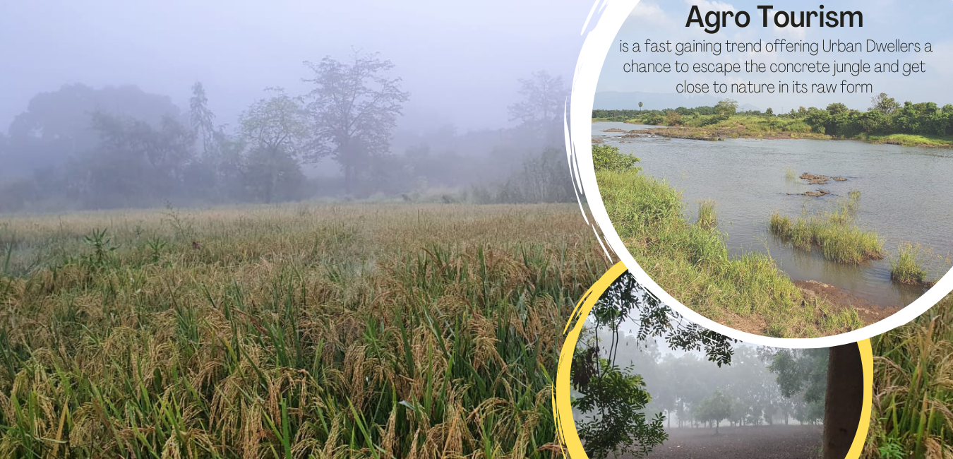 Agro Tourism | www.farmstudio.co.in