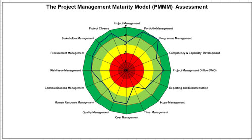 Project Management Maturity Model (PMM) | Project Templates