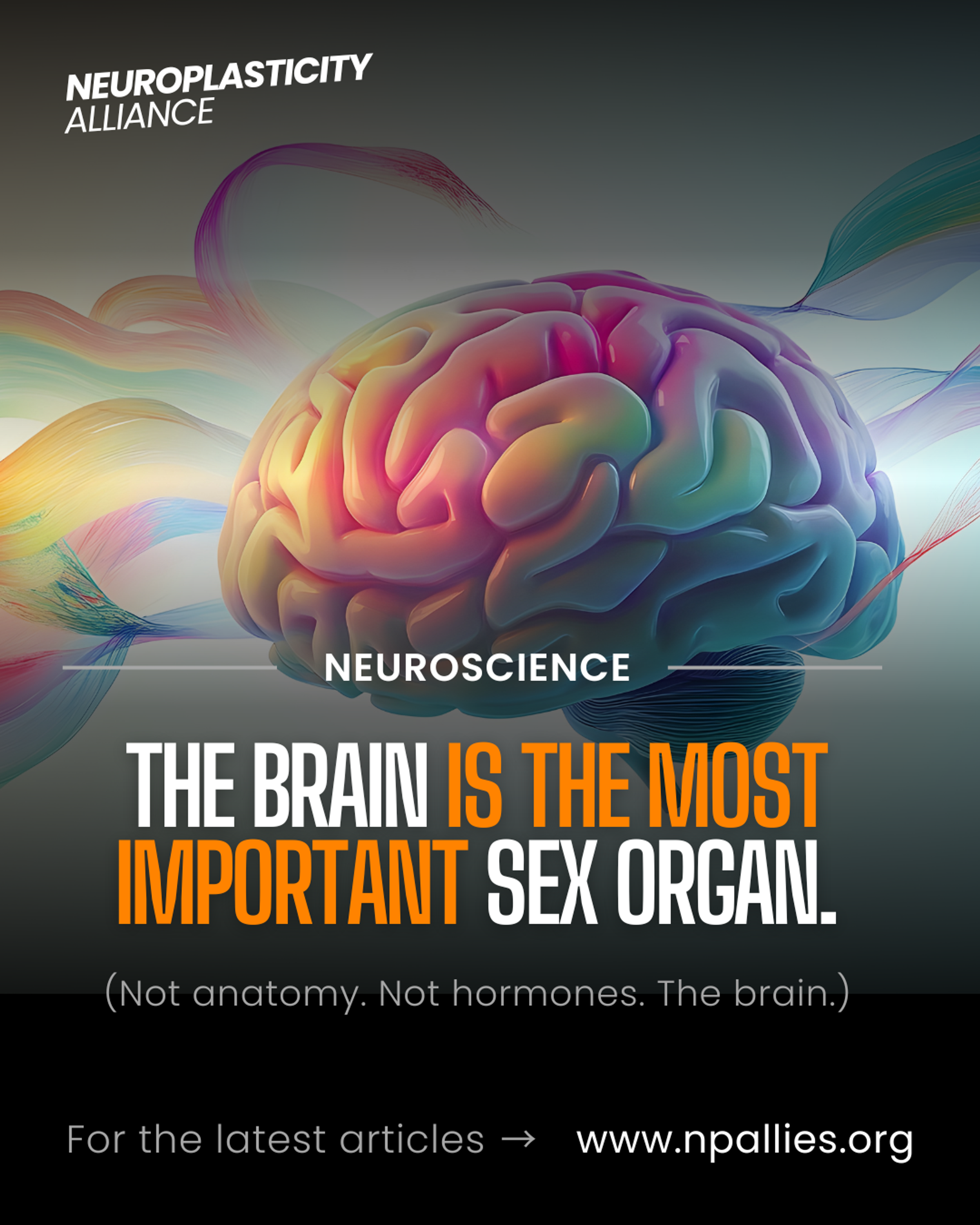 The Brain Is the Most Important Sex Organ