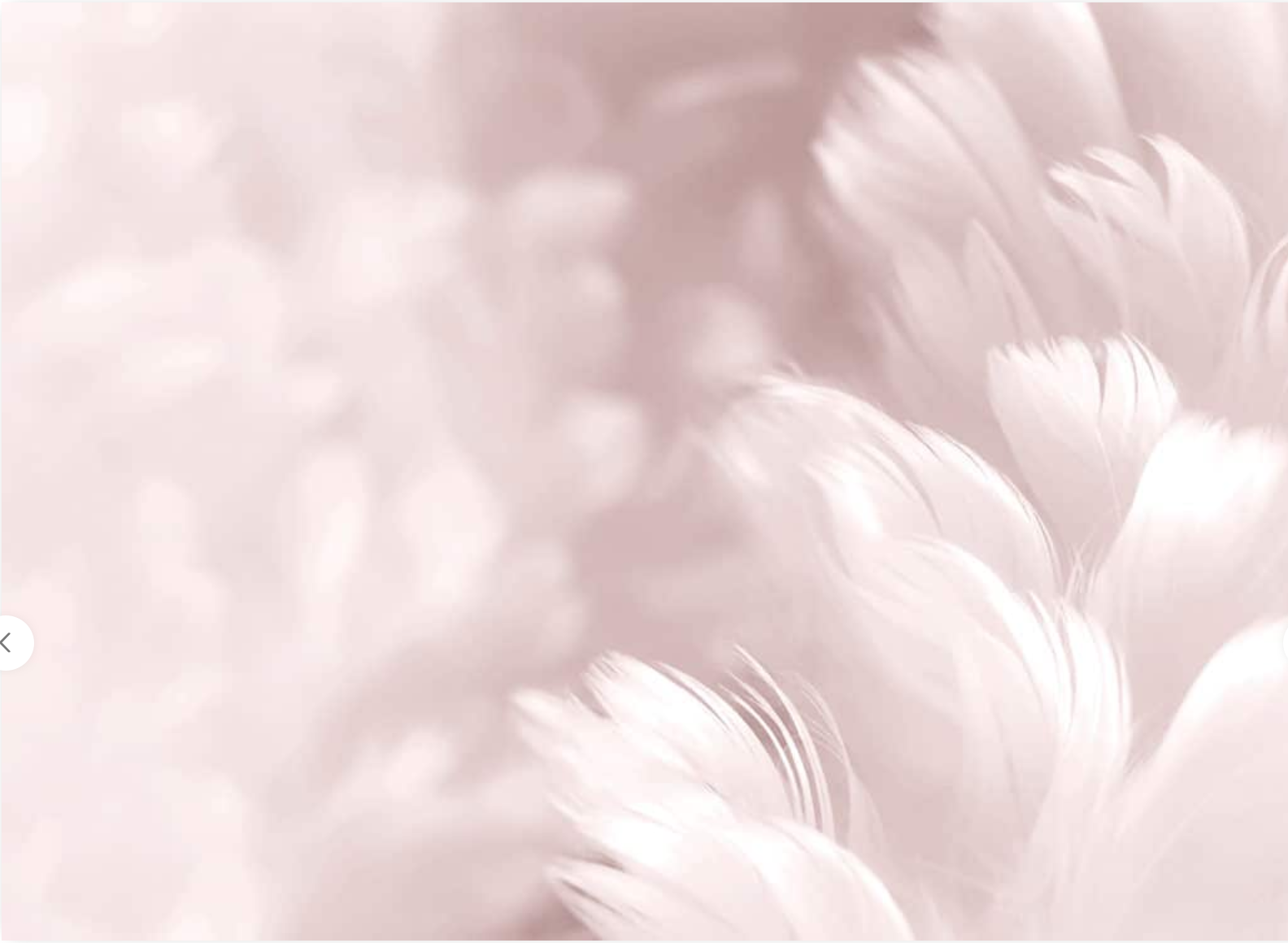 Home | Julie Stringer