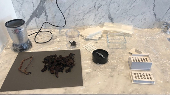 Moderkaksinkapsling | Doulagruppen.se