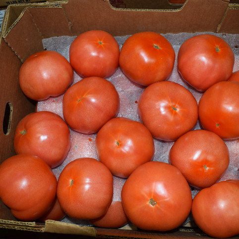 Vegetables Gallery | terminalproduce