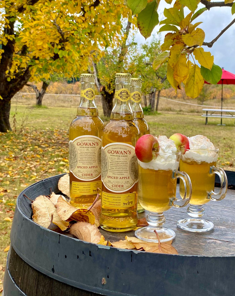 Gowan's Spiced Apple Cider is Perfect for the Season!