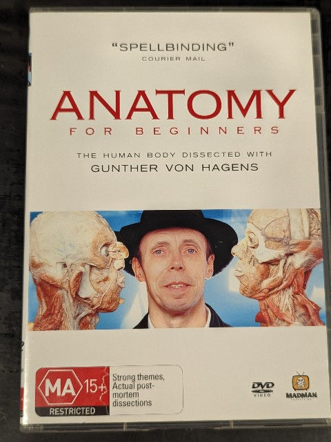 ANATOMY FOR BEGINNERS | RevolutionCdYoung