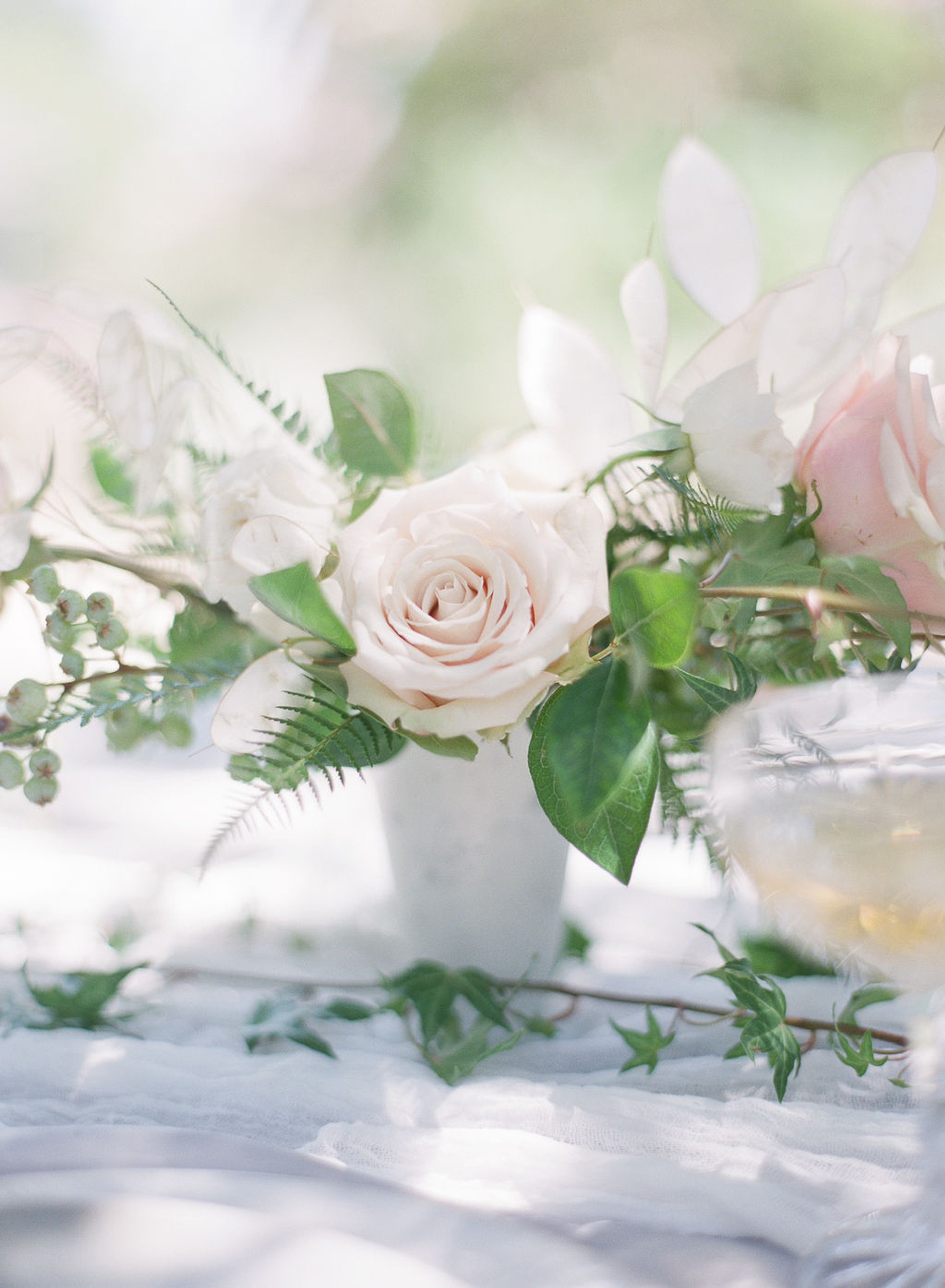 CLARE SUITE | Sea and Sun Calligraphy