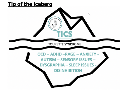 Tics and Tourette's Syndrome | Tictock Therapy