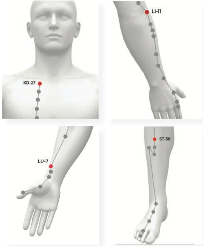 Traditional Chinese Medicine (TCM) & Your Immune System