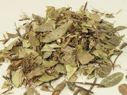 Star Jasmine Stem (Luo Shi Teng) | AcuHaus Acupuncture Medspa