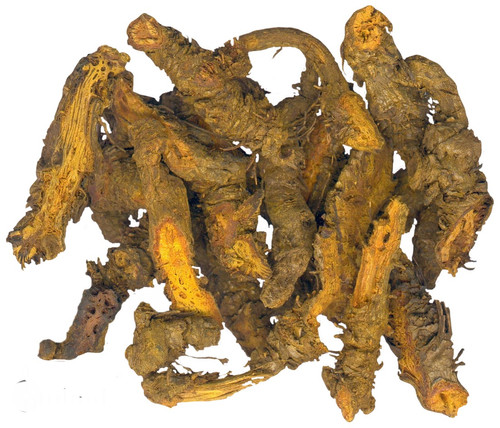 Coptis Root (Huang Lian Fen) | AcuHaus Acupuncture Medspa