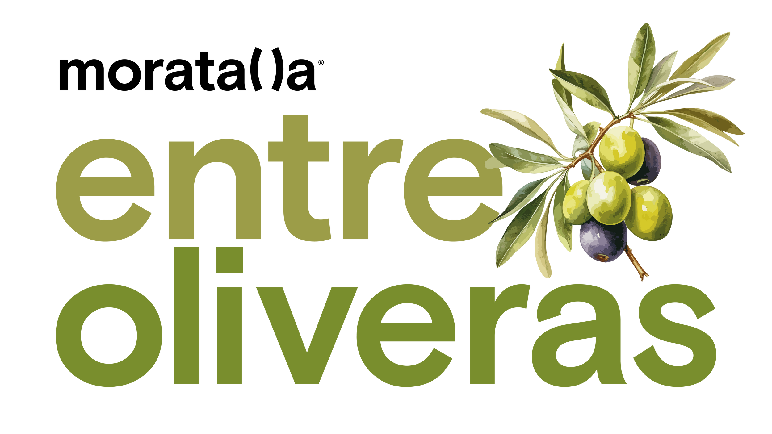 Moratalla Entre Oliveras
