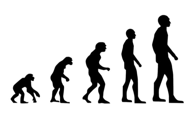 Are we still evolving?