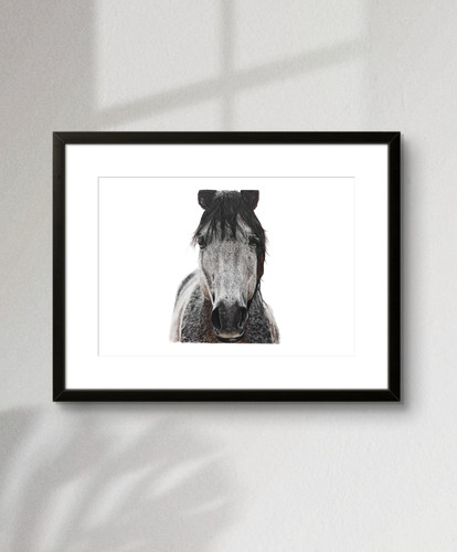 Solace - Limited Edition | Jason Chamberlain Art