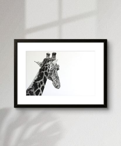 Kutjira - The Shy One - Limited Edition | Jason Chamberlain Art