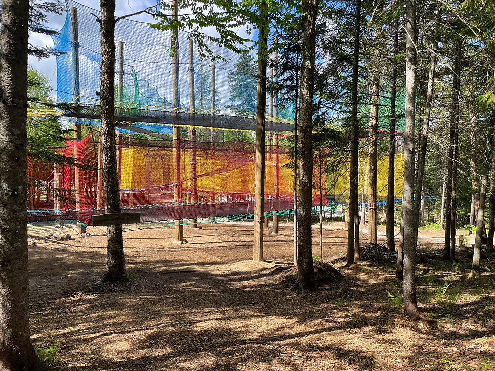 Standard Netting LLC | Nets for entertainment industry