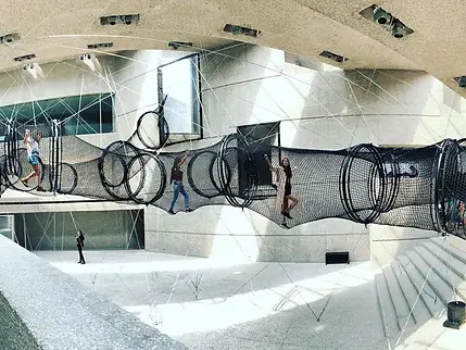 NETTED TUBES | Standard Netting