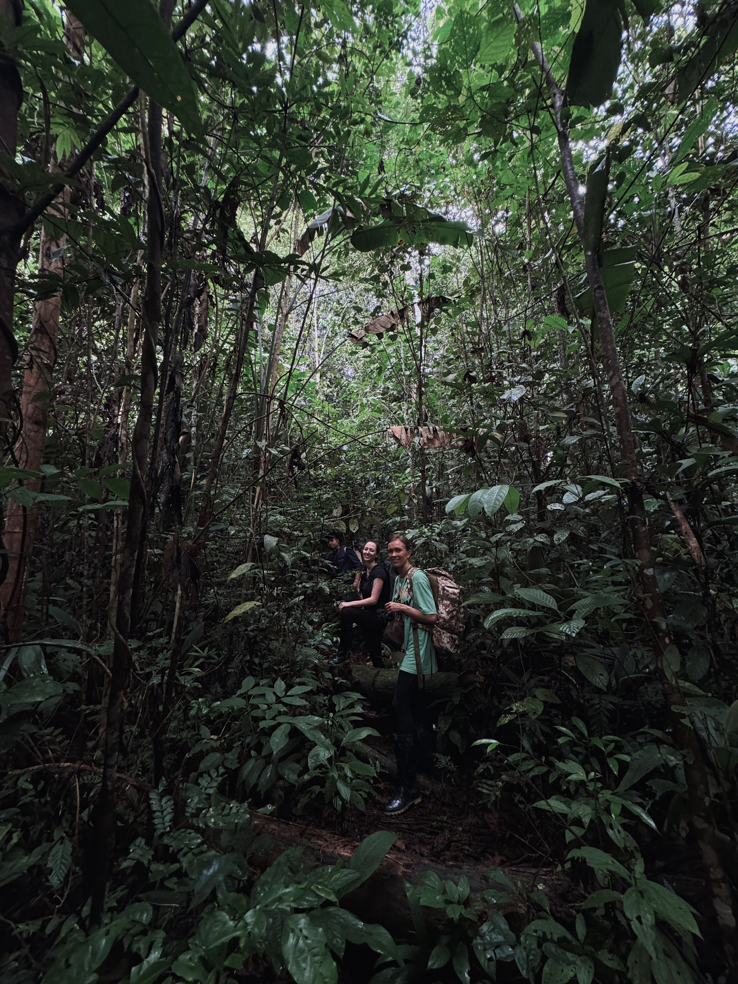 Amazon Rainforest Expeditions | Awake Traveler | Adventurous ...