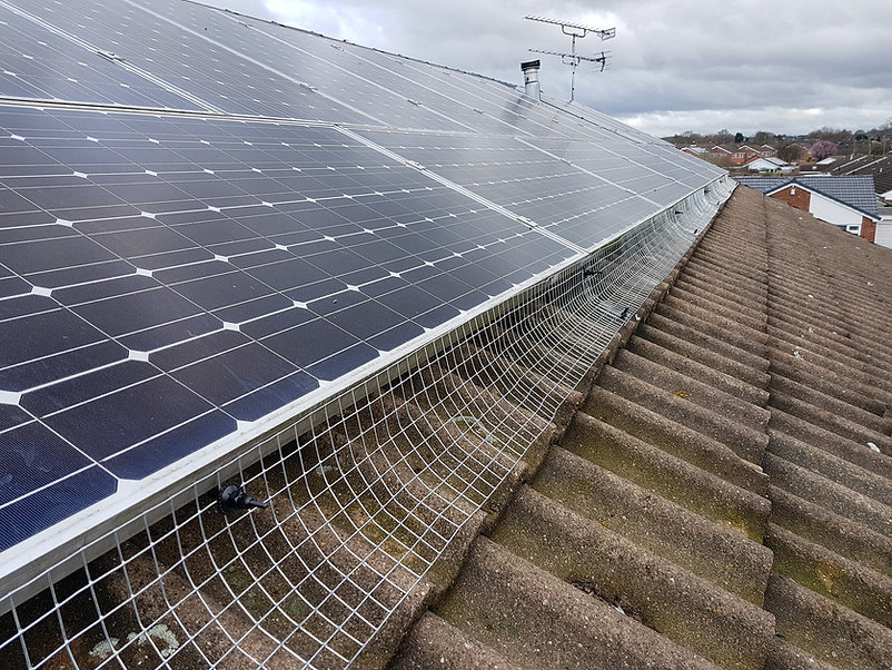 Delta Pest Control | Coventry | Solar Panel Pigeon Proofing