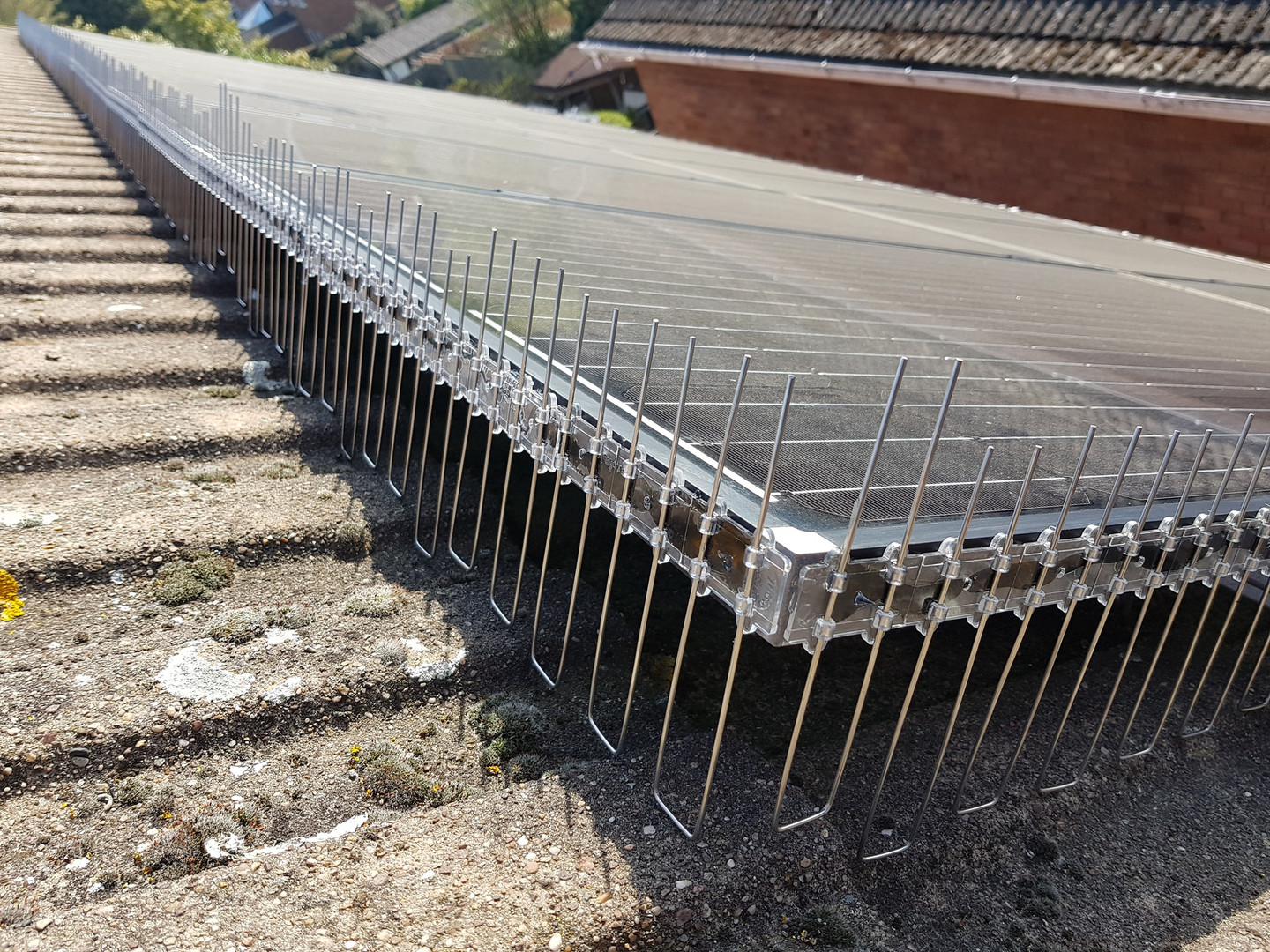 Delta Pest Control | Coventry | Solar Panel Pigeon Proofing