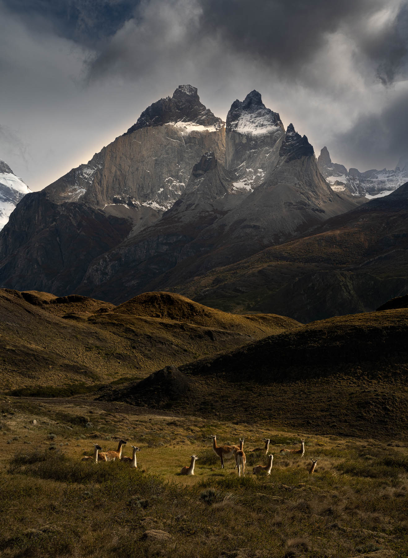 Photography Tutorial: Wildlife Photography in Patagonia