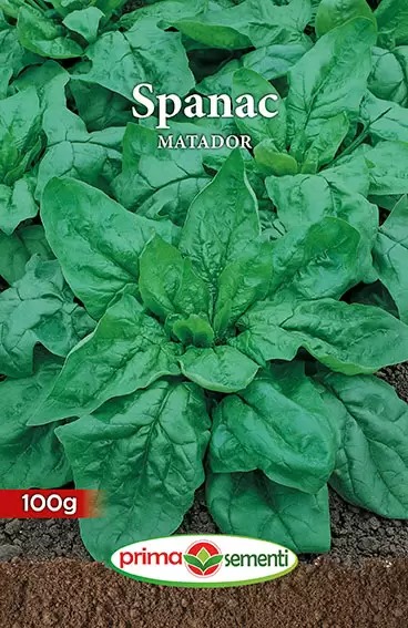 Seminte spanac Matador - 100 g , Prima Sementi