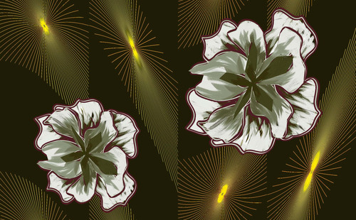 Lolade | grapespatternbank