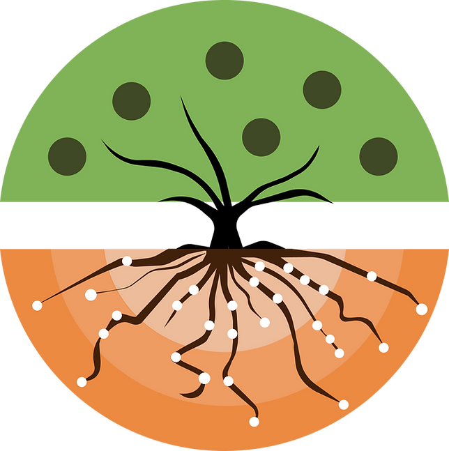 The Human Project | ong