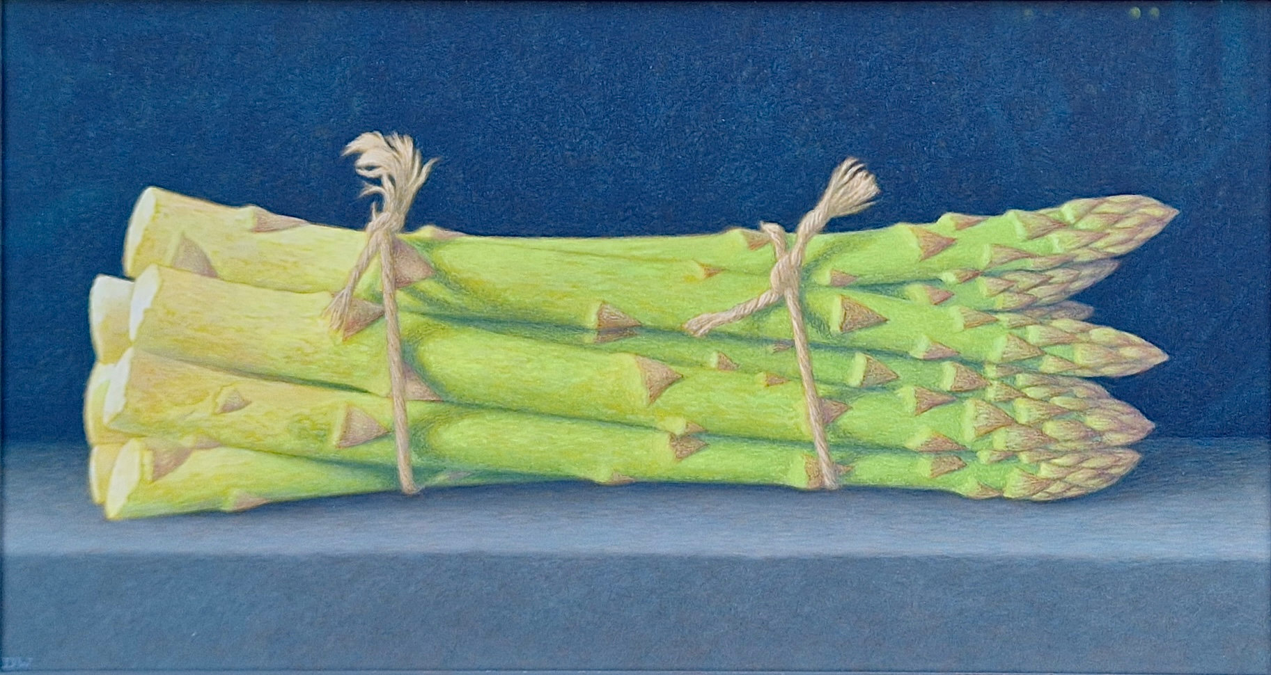 DYLAN WALDRON |.Gladwell & Patterson