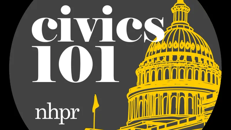 Civics 101 | NEA Democratic Caucus