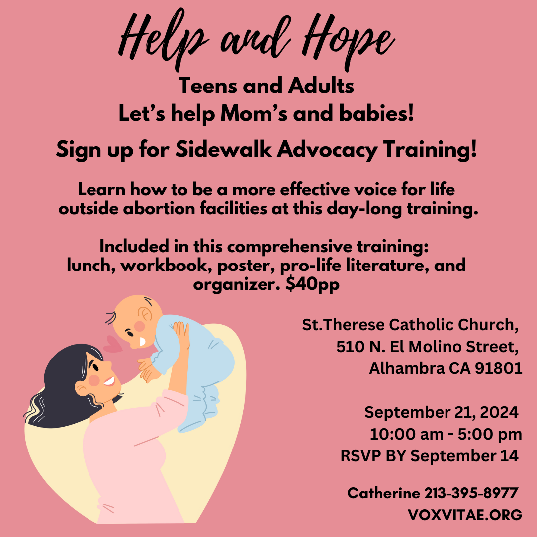 Help and Hope Sidewalk Advocacy Training | voxvitae