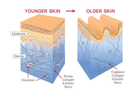 The ageing process | dr pratish facial aesthetics