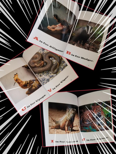 ABC Book & Flashcard Bundle | Teacher Mommy-Mommy