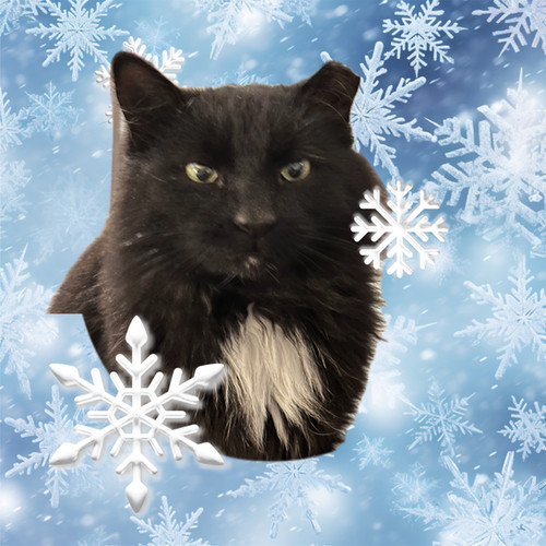 For M only!! | Tunnel2Light