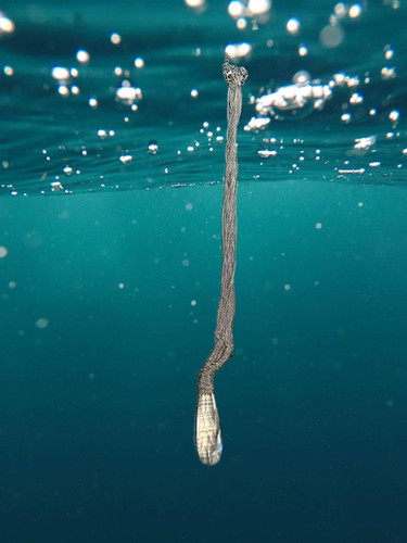 Harnessing YOUR Atlantis Power! | Tunnel2Light