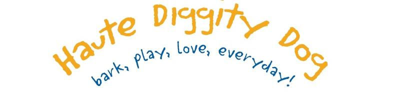 Design Thinking: Haute Diggity Dog