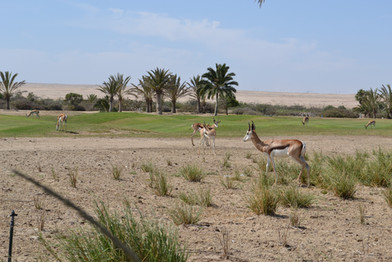 GOLF COURSE | Rossmund Golf Course