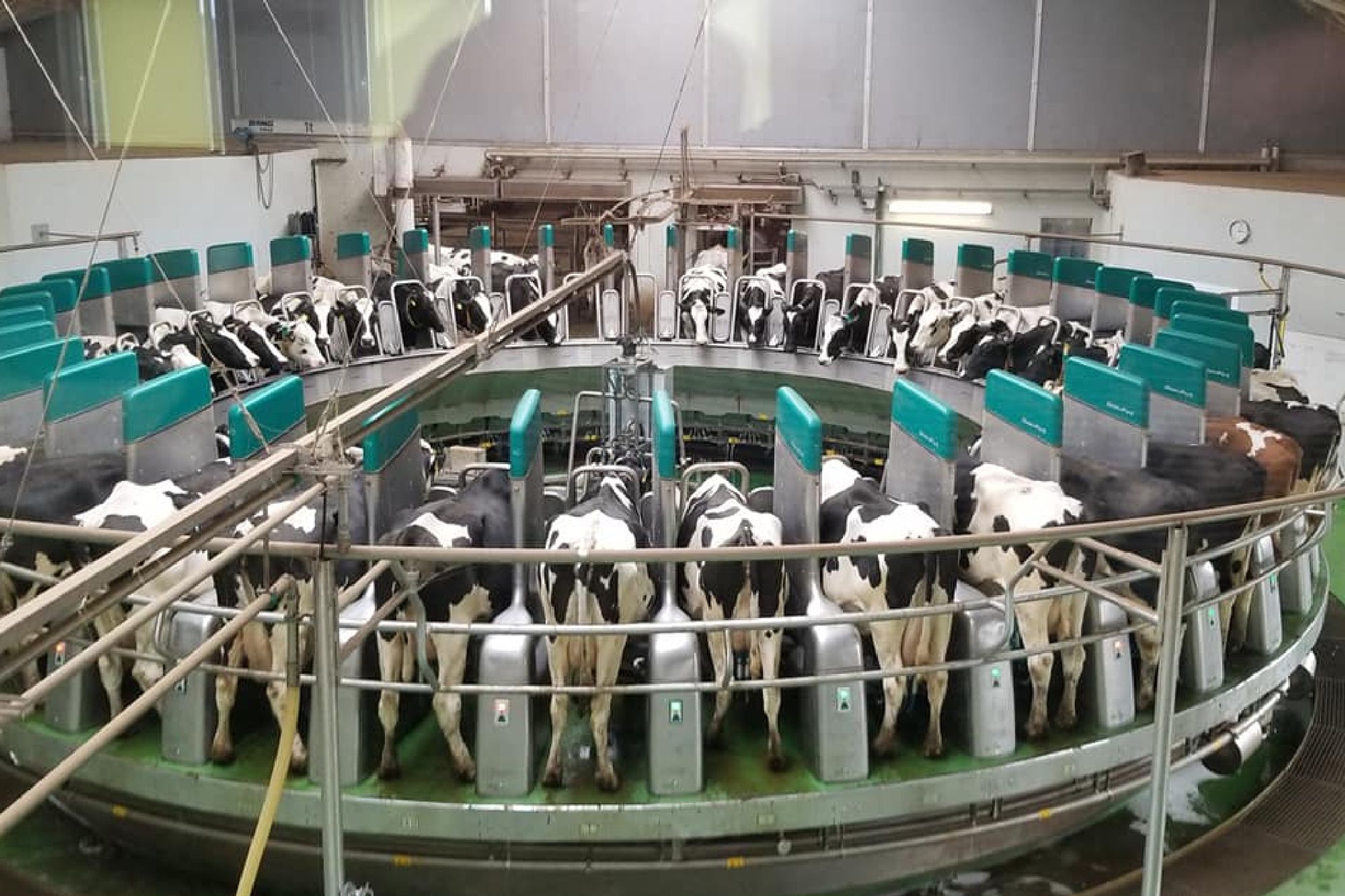 Milk Extraction Equipment In Saint-Paul-d'Abbotsford | Home | Lait’Quip ...