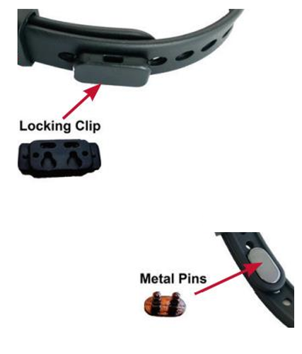 WanderGuard Blue Band Closure, Pkg 10 | Chittronics Ltd