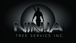 Tree Service Kelowna | Home | Ninja Tree Services