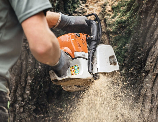 Ninja Tree Services | About Us