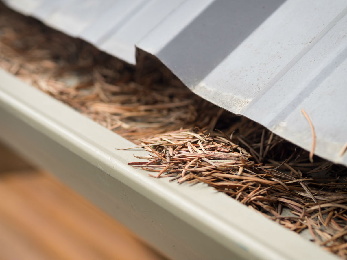 Eavestroughing Services Courtenay | Regal Gutters