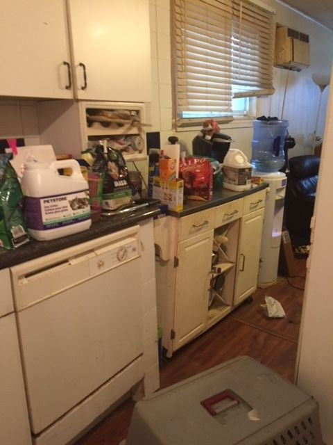 Cleaning Services In Windsor | Clean Sweep Ann